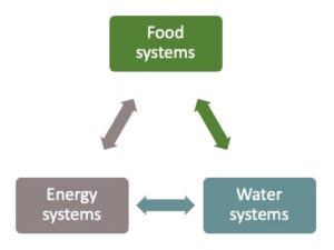 Bridging Urban, Suburban, and Rural STEM Education Through the FEW ...